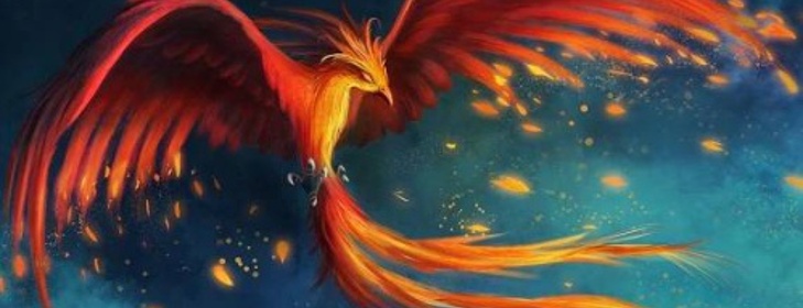 Fler BLOG | Zlatokopky / Fénix....